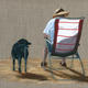Two Donkeys by Cathy Stringer
