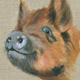 Two Donkeys by Cathy Stringer