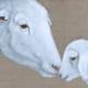 Two Donkeys by Cathy Stringer