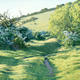 Spring Path by michael embden