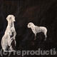 White Dogs 1 by Duncan Gates
